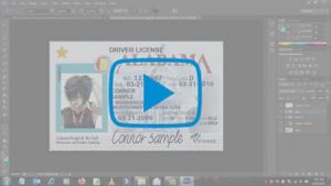 Canada Ontario Drivers License PSD Template (V2011) – Download ...