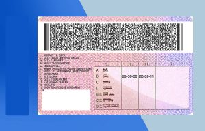 Albania Drivers License PSD Template – Download Photoshop File