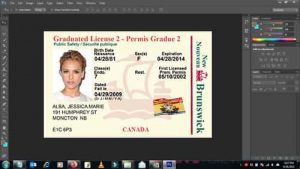 Canada Brunswick Drivers License PSD Template – Download Photoshop File