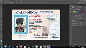 California Drivers License PSD Template (V1) – Download Photoshop File