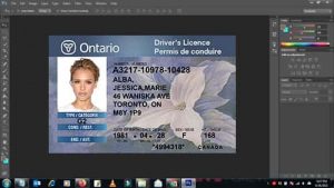 Canada Ontario Drivers License PSD Template (V2010) – Download ...