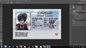 Colorado Drivers License PSD Template – Download Photoshop File