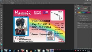 Hawaii Drivers License PSD Template – Download Photoshop File