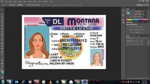 Montana Drivers License PSD Template – Download Photoshop File