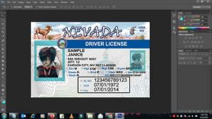 Nevada Drivers License PSD Template – Download Photoshop File