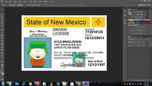New Mexico Drivers License PSD Template – Download Photoshop File