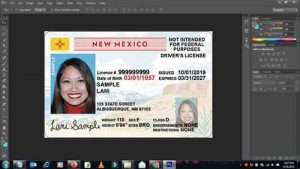 New Mexico Drivers License PSD Template (New Edition) – Download ...