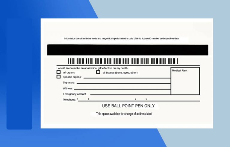 Michigan Drivers License PSD Template – Download Photoshop File