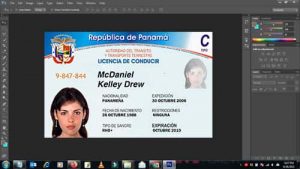 Panama Drivers License PSD Template – Download Photoshop File