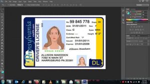 Pennsylvania Drivers License PSD Template – Download Photoshop File