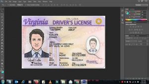 Virginia Drivers License PSD Template – Download Photoshop File