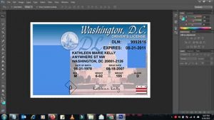 Washington DC Drivers License PSD Template – Download Photoshop File