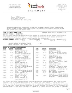 USA TCF Bank Statement Template – Download MS Word File