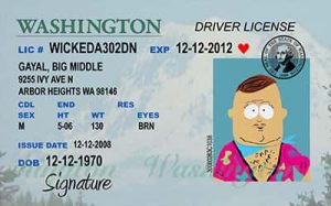 Washington Drivers License PSD Template – Download Photoshop File
