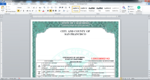 USA San Francisco Birth Certificate Template – Download MS Word File