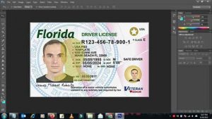 Florida Drivers License PSD Template (New Edition) – Download Photoshop ...