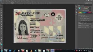Maryland Drivers License PSD Template (New Edition) – Download ...