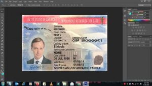 USA Employment Authorization Card PSD Template – Download Photoshop File