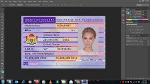 Netherlands Identity Card PSD Template – Download Photoshop File