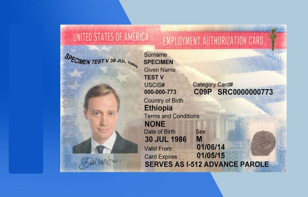 USA Employment Authorization Card PSD Template – Download Photoshop File
