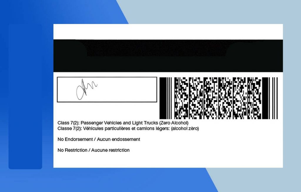 Canada Brunswick Drivers License PSD Template – Download Photoshop File