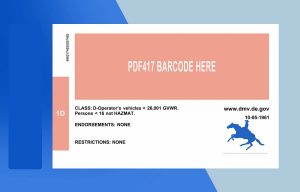 Delaware Drivers License PSD Template – Download Photoshop File