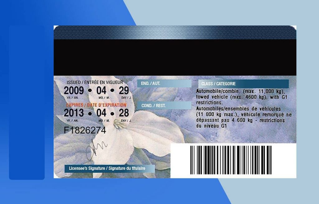 Canada Ontario Drivers License PSD Template (V2010) – Download ...