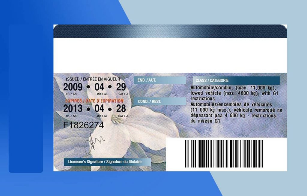 Canada Ontario Drivers License PSD Template (V2010) – Download ...