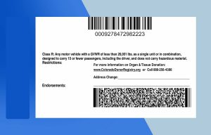 Colorado Drivers License PSD Template – Download Photoshop File