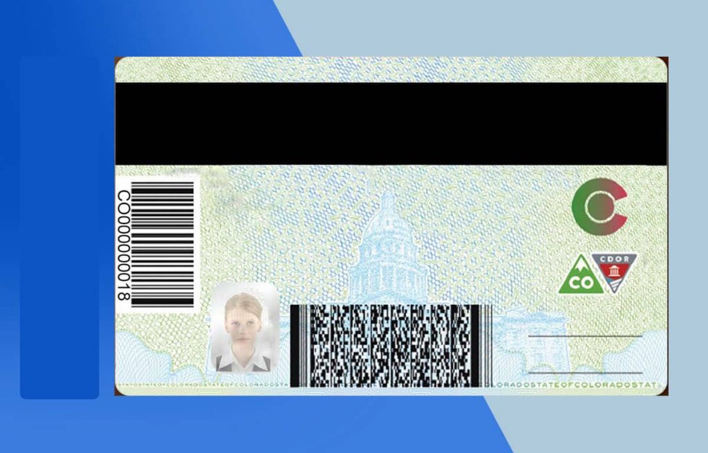 Colorado Drivers License PSD Template (New Edition) – Download ...
