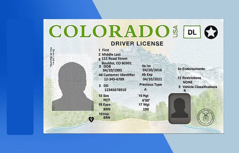 Colorado Drivers License PSD Template (New Edition) – Download ...