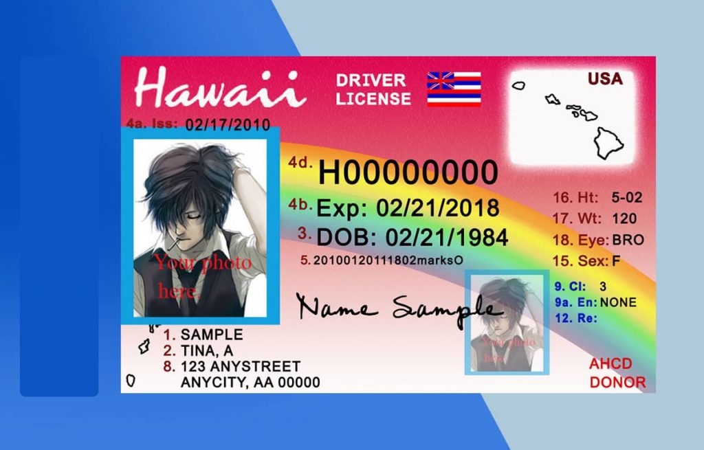 Driver's License Template - Fully Editable PSD Templates