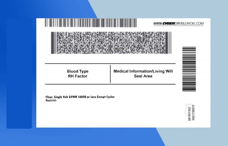 Illinois Drivers License PSD Template – Download Photoshop File