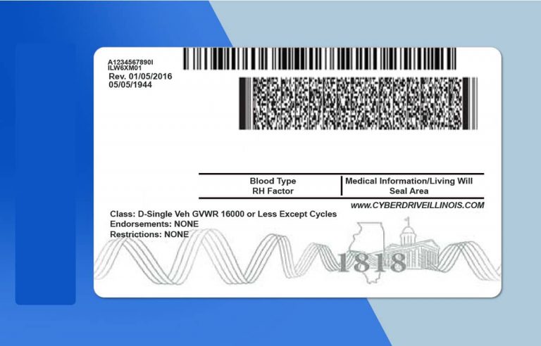 Illinois Drivers License PSD Template (New Edition) – Download ...