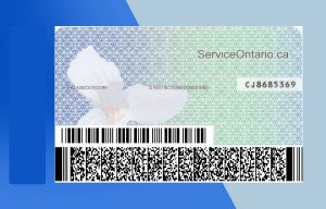 Canada Ontario Drivers License PSD Template (V2011) – Download ...