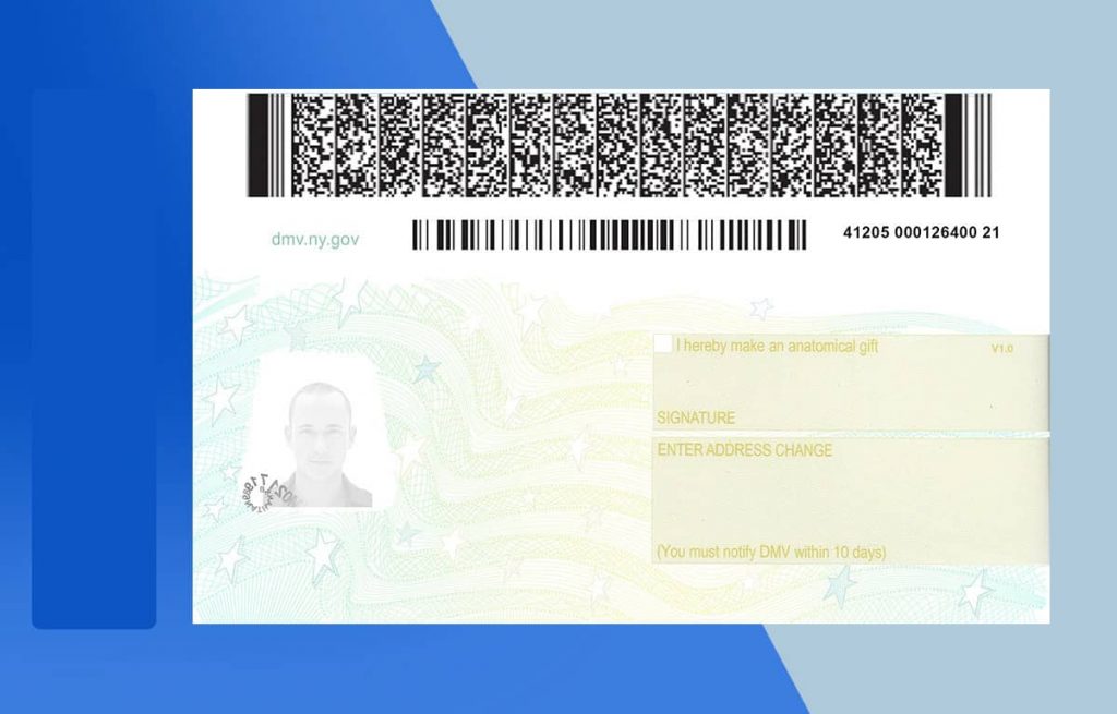 New York Drivers License PSD Template (New Edition) – Download ...