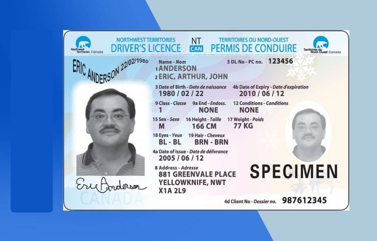 Driver’s License, Passport, SSN Card, Birth Certificate, etc. Template