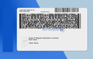 Mississippi Drivers License PSD Template (New Edition) – Download ...
