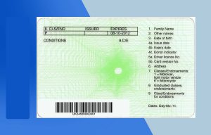 New Zealand Drivers License PSD Template – Download Photoshop File