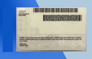 North Carolina Drivers License PSD Template (New Edition) – Download ...