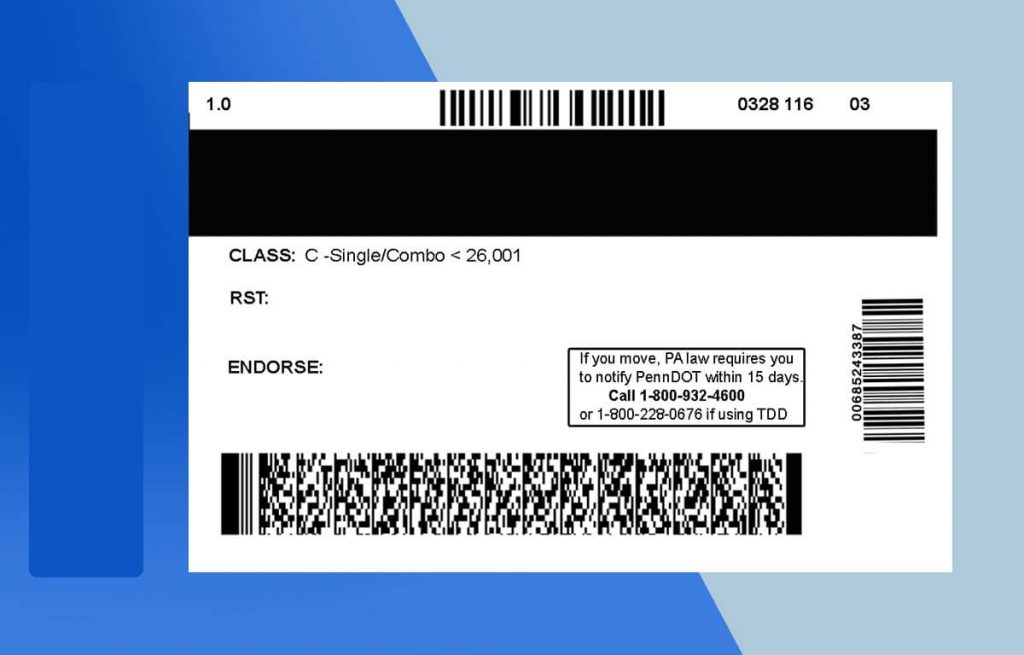 Pennsylvania Drivers License PSD Template – Download Photoshop File