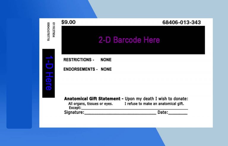 Wisconsin Drivers License PSD Template (V2) – Download Photoshop File