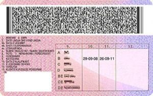 Albania Drivers License PSD Template – Download Photoshop File
